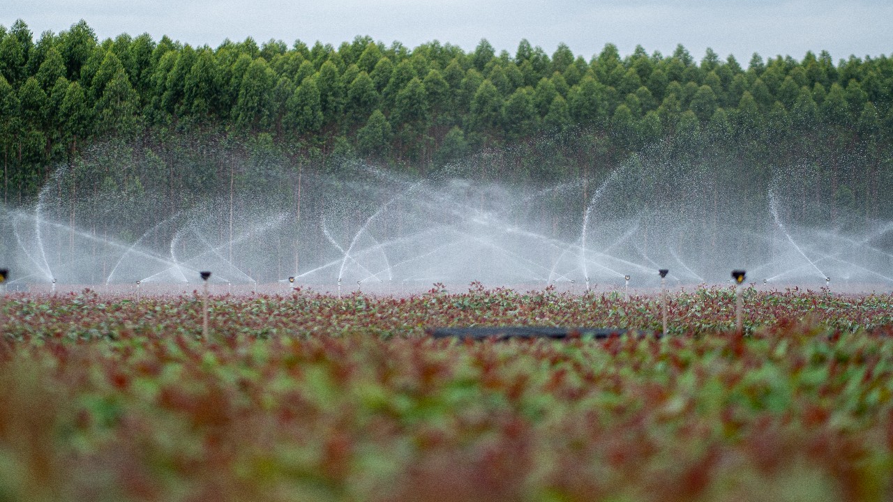 Irrigação 4.0: solução inovadora reduz o consumo de água no setor ...